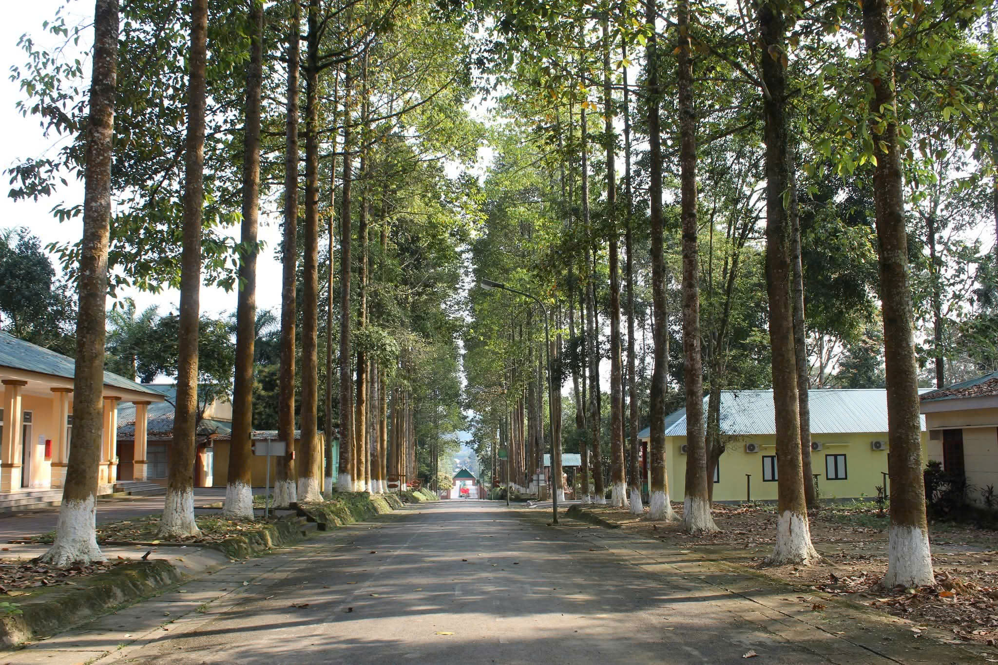 Sinh Quyển Nghệ An